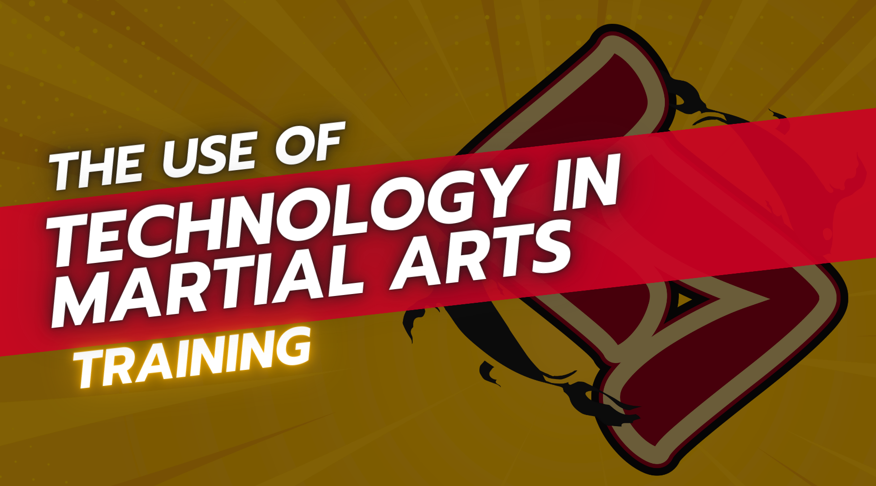 The Use of Technology in Martial Arts Training – Tempura Brand Supply Co